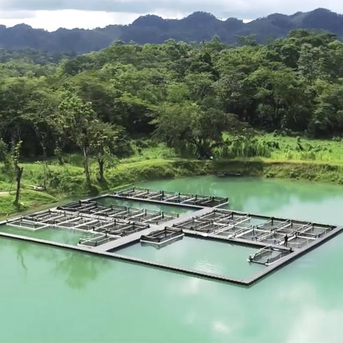 Floating platform - Aquaculture - CANDOCK - for aquaculture