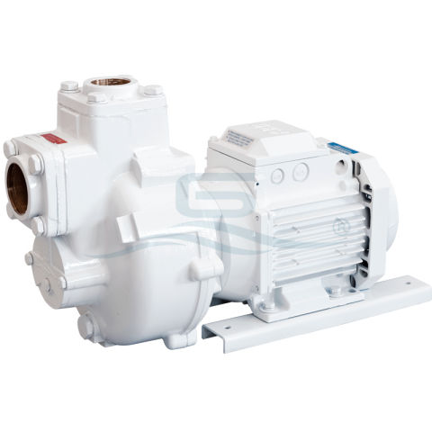 Boat pump - BMA-G - GIANNESCHI PUMPS & BLOWERS - transfer / for grey ...