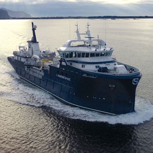 Live fish carrier cargo ship - RONJA POLARIS - Astilleros Zamakona