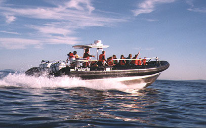 Passenger boat - 33' NEPTUNE - Polaris boat - outboard / rigid hull ...