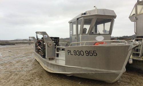 Logistics transport boat - SEAFOOD - Navalu - aluminum