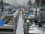 Dock finger - All boating and marine industry manufacturers