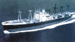 Handysize cargo ship - All boating and marine industry manufacturers