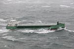 Mini-bulker cargo ship - All boating and marine industry manufacturers