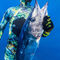 Spearfishing wetsuit - VERTIGO Camouflage - JBL International - two ...
