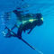 Spearfishing wetsuit - VERTIGO Camouflage - JBL International - two ...