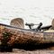 Hunting canoe - Rangeley 17 - Esquif International Inc. - fishing / 2 ...