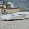 Recreational rowing boat - X 16 - Rowing Sport boats - touring / single ...