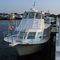 Inboard express cruiser - 46' - Newton Boats - twin-engine / with ...