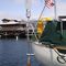 Sailboat wind vane self-steering system - Integrated - CapHorn - standard