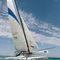 Coastal racing sport catamaran - EAGLE 24 OCEAN - Eagle Catamarans ...