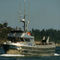 Professional fishing boat - 32’ Bristol Bay Gillnetter - Rozema Boats ...