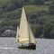 Day-sailer sailboat - BayRaider 17 - Swallow Yachts - ketch