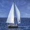 Sailboat boom - WoodSpars - custom / wooden / bermuda rig