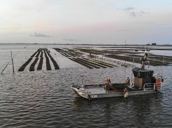 Navalu company News and Trends items