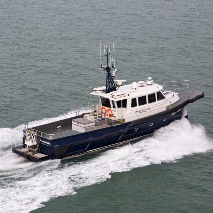 Barco profissional barco para transporte de tripulação - BLUE WHALE ...