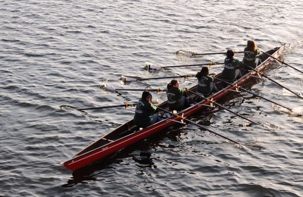 Barco de remo five skiff - C5x- BBG - Baumgarten Bootsbau