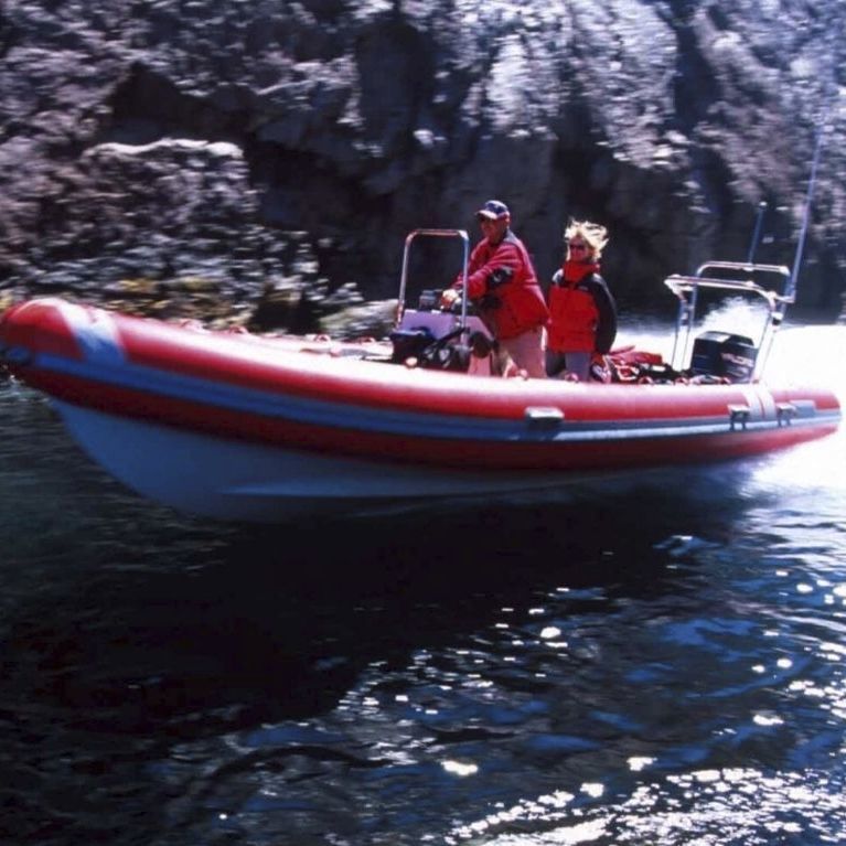 Barco profissional barco salva-vidas - GM 5.4 - NORTHSTAR RIBs - com ...